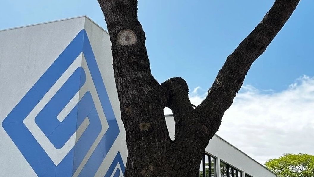 NKT Acquires Portuguese Power Cable Company SolidAl for €192m | Green ...